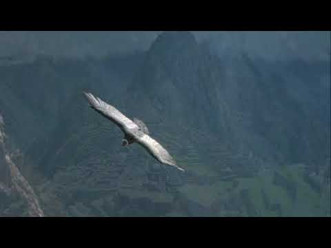 El Cóndor Pasa - Plácido Domingo: with Lyrics(Spanish/English/가사번역)