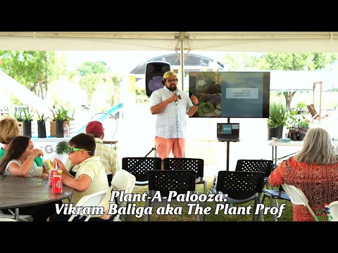 Plant-A-Palooza Recap: The Plant Prof 🌿