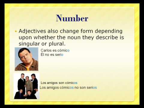Spanish adjectives from BV1 Ch1