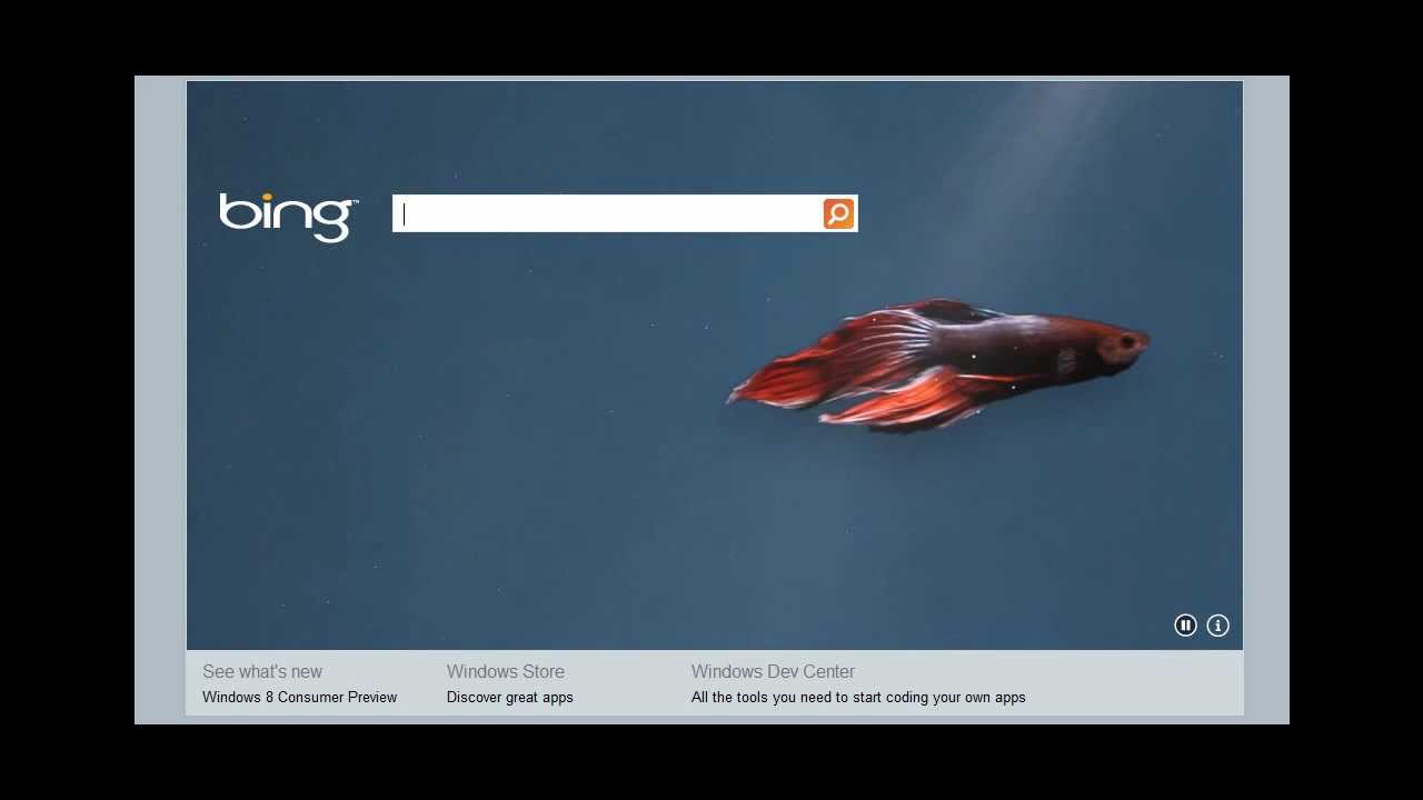 Bing Homepage Windows 8