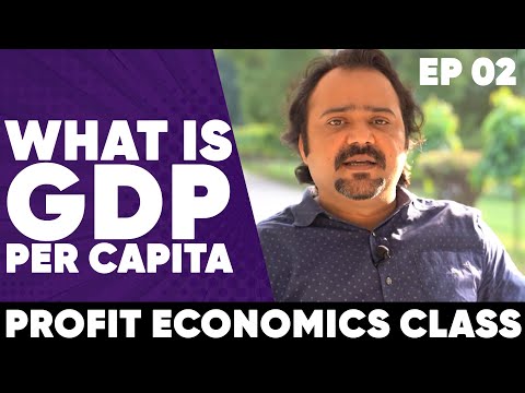 Profit Economics Class Ep 02: What is GDP per capita? | PT Profit