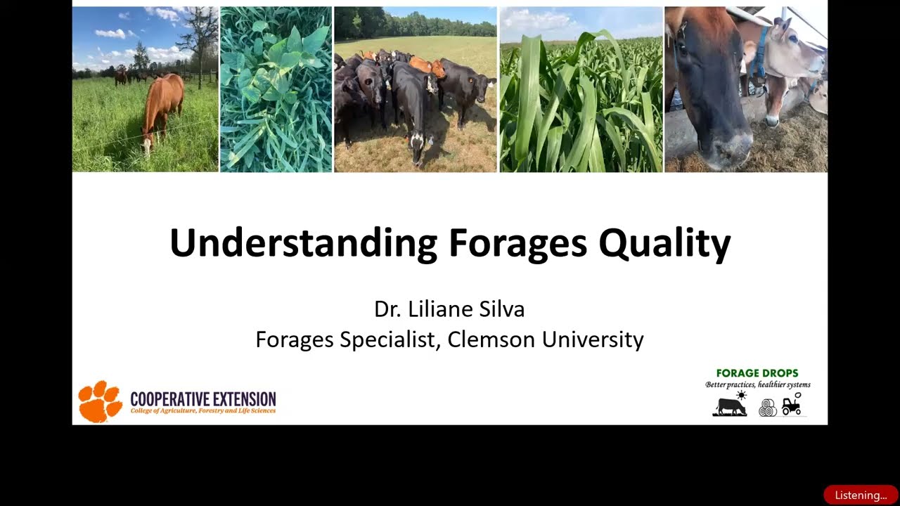 Understanding Forage Quality