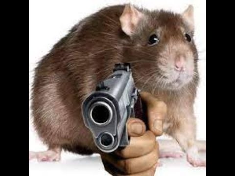 Steam Community :: One-armed cook