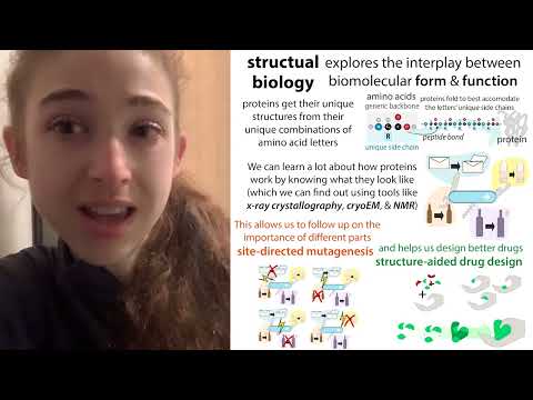 What do structural biologists do?