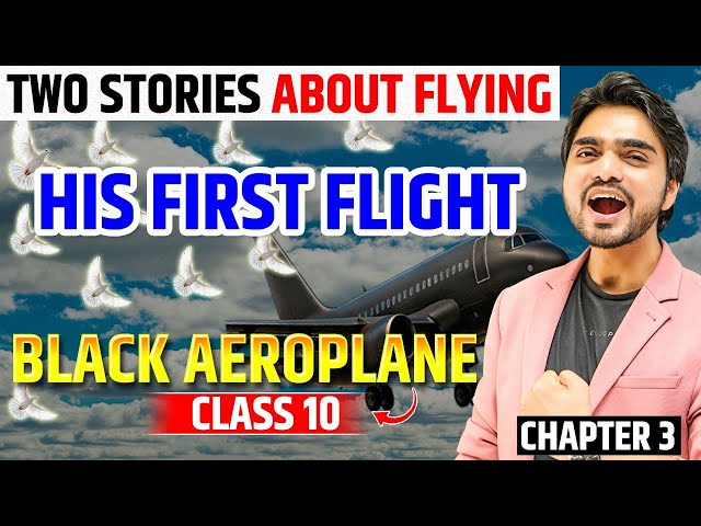 Exploring the Journey of Flight: A Summary of Two Stories About Flying ...