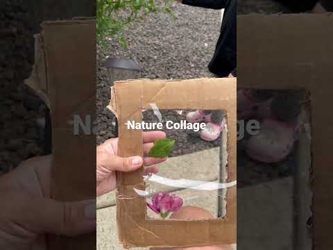 #Nature #Collage