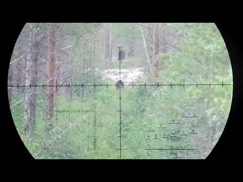 Tikka TACT A1 6.5CM concept, new Steiner M7Xi 2.9-20x50 MSR2