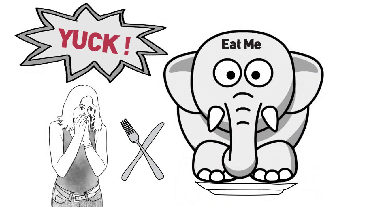 Sample Animation 54 | MaaDDism Productions