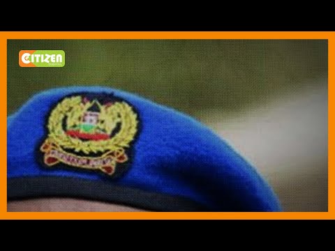 THE EXPLAINER | Understanding the different formations of the National police service