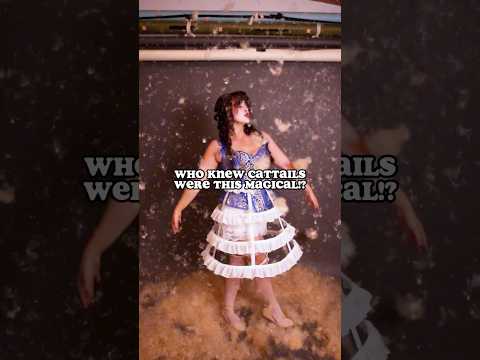 Try not to sneeze challenge *Cattail photo shoot*