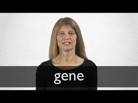 How to pronounce GENE in British English