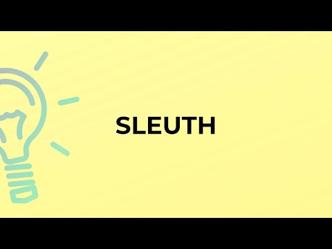 What is the meaning of the word SLEUTH?
