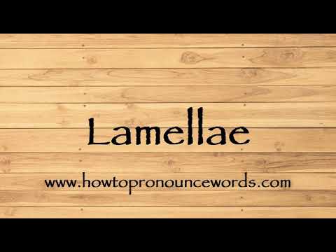 How To Pronounce Lamellae ? How To say Lamellae New Video