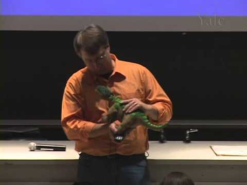 10/17/09 Brian Scassellati – Talking Robots: What Social Robots Teach Us About Human Children