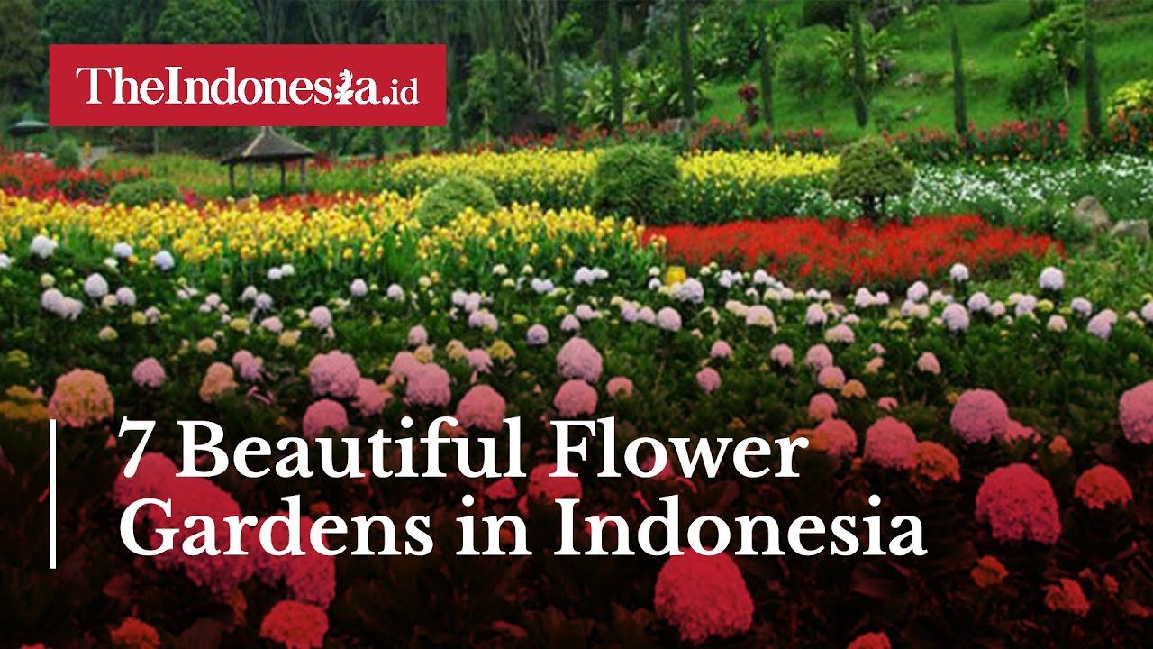7 Beautiful Flower Gardens in Indonesia