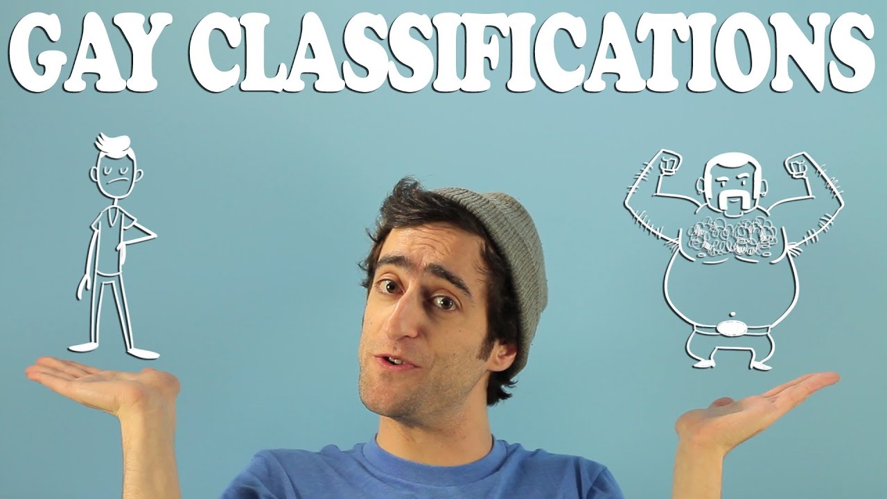 THE GAY CLASSIFICATION KINGDOM