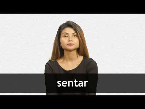 English Translation of “SENTAR” | Collins Spanish-English Dictionary