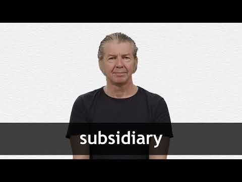 SUBSIDIARY definition and meaning | Collins English Dictionary