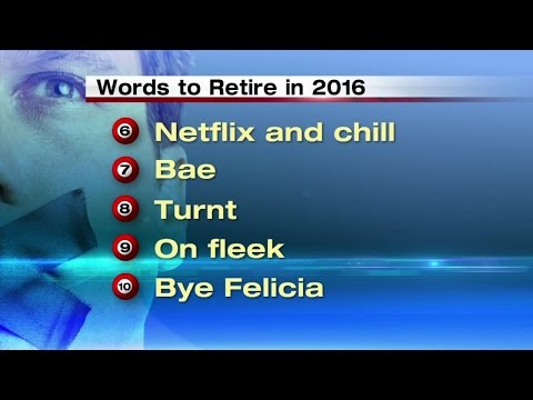 Trendy terms that define 2015