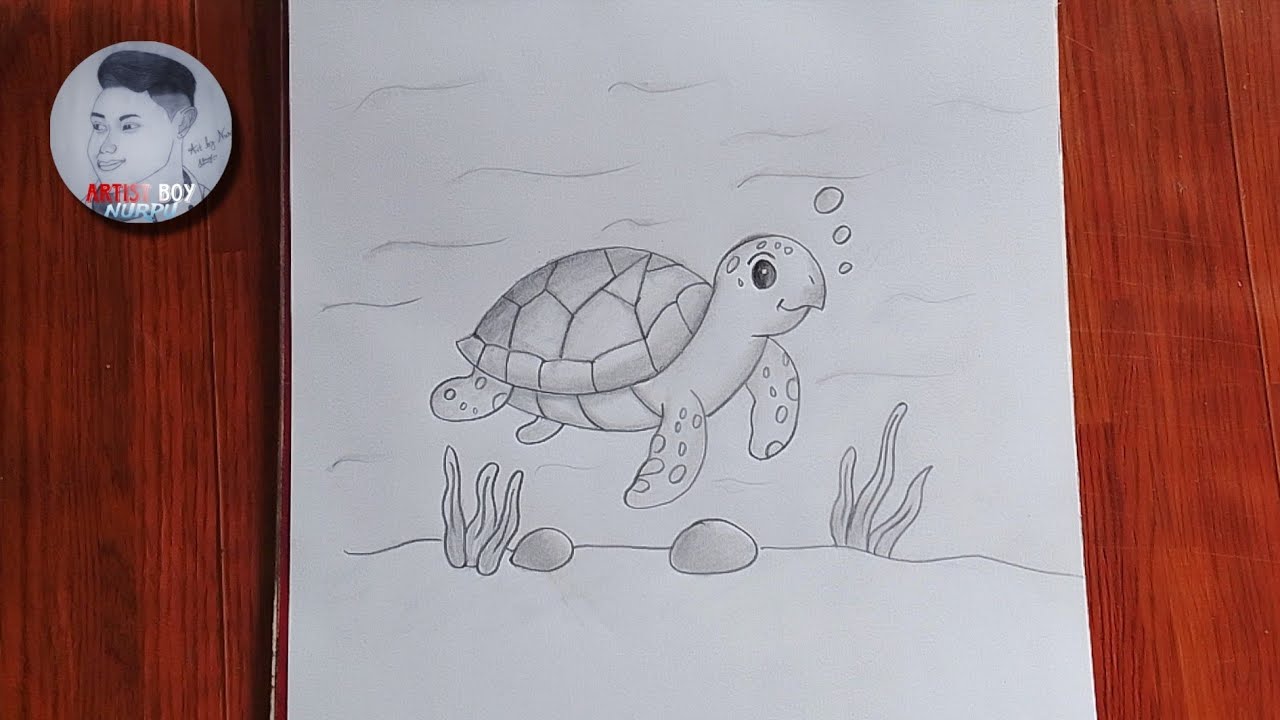 Easy Sea Turtle Drawing Tutorial | How to Draw a Cute Cartoon Turtle Underwater