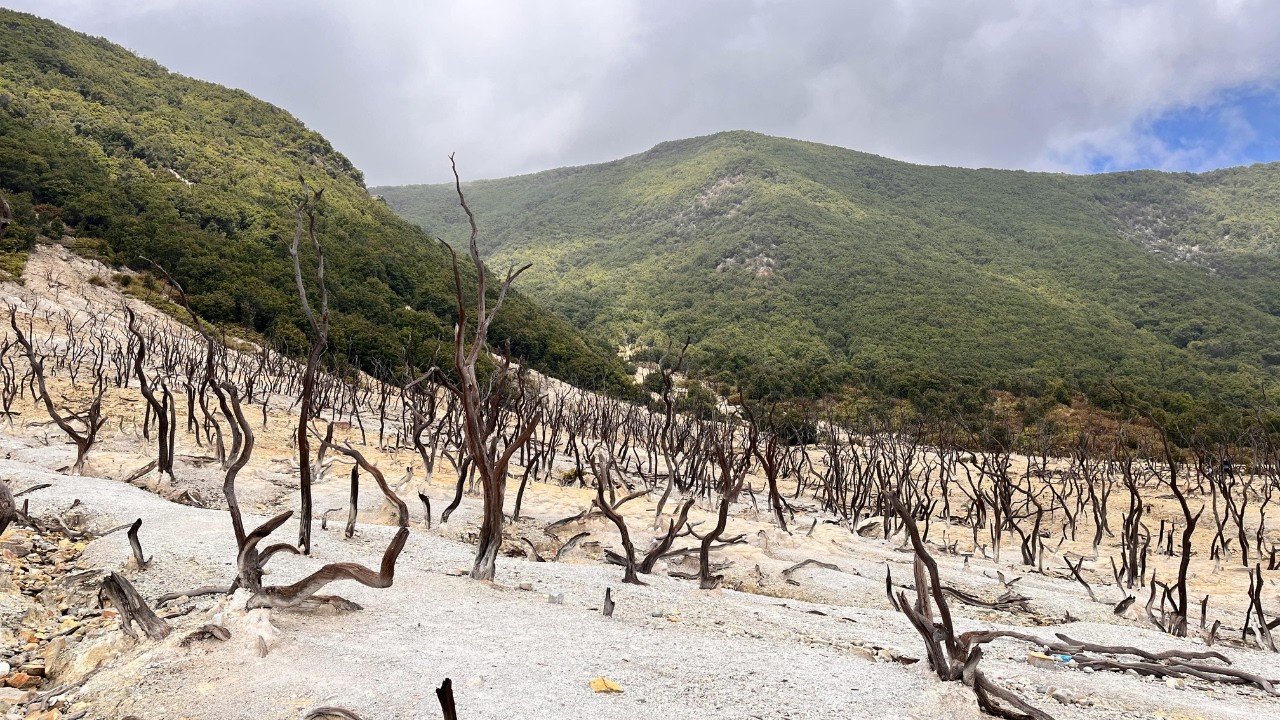 2026's Extreme Drought & Its Climate Connection