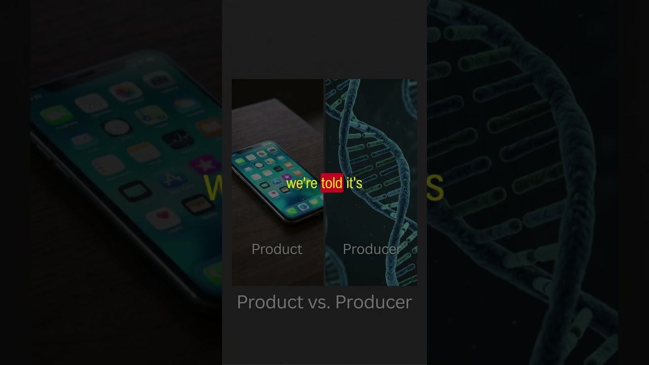 Does the Universe Have a Source Code? | The Architect Logic