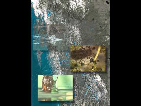 Big BC Map - BC's Fresh Water