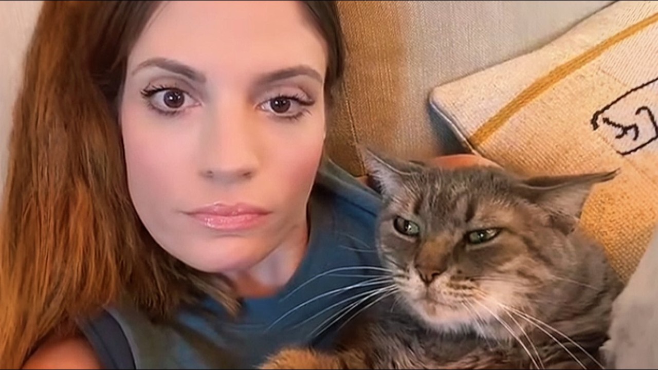This Cat Was Returned 4 Times for Staring—She Kept Him and He Saved Her at 3AM