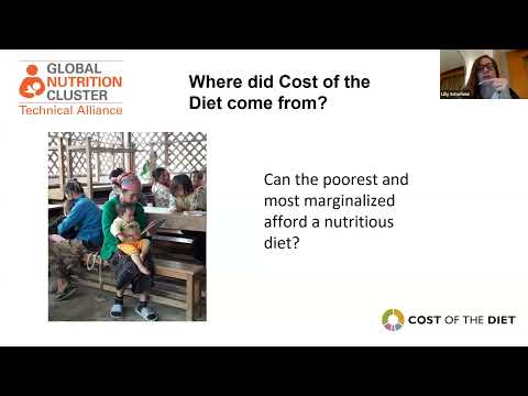The Cost of the Diet (CotD). Global Orientation on how to use it.