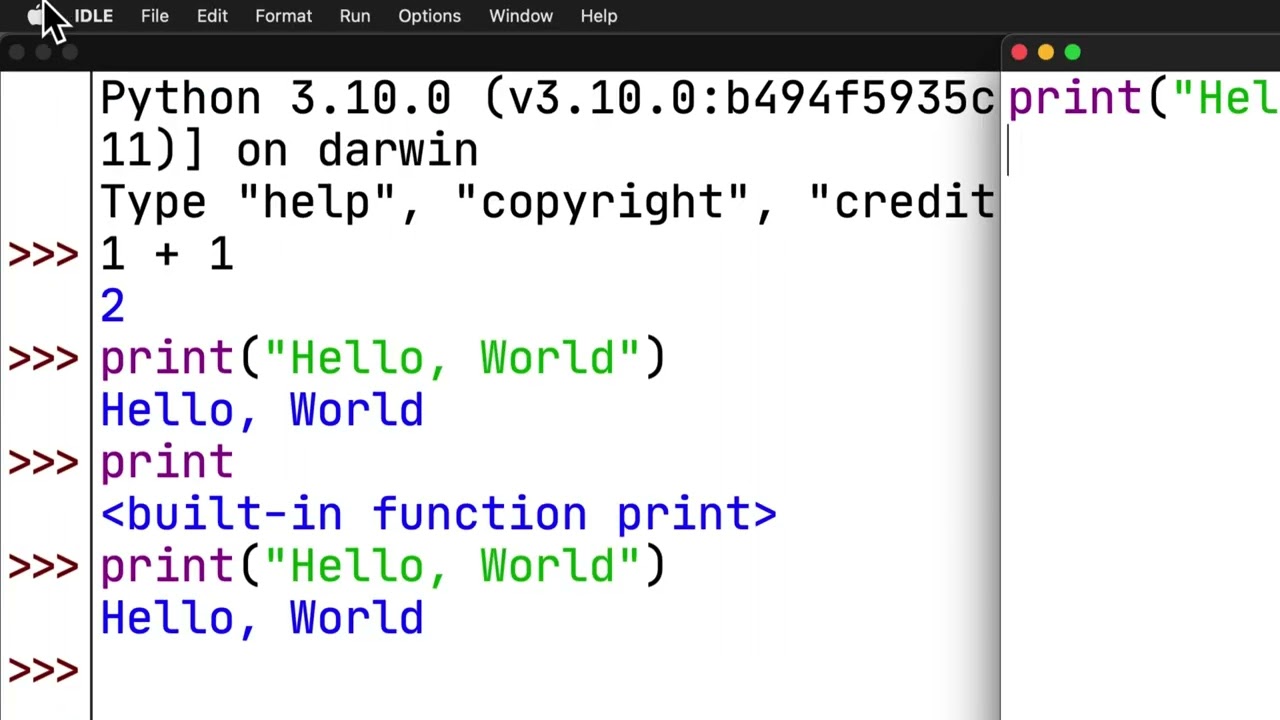 Your First Python Program and Making Mistakes: Python Basics
