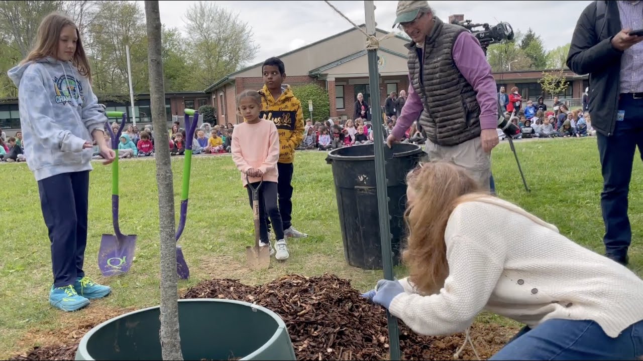 Wilder Elementary School – Creating A Canopy