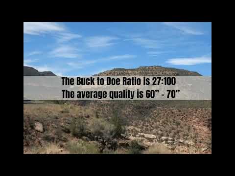 New Mexico GMU Unit 2B Hunting Information