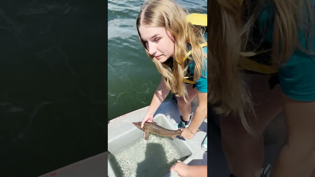 Krystal Dixon, ‘24, spent her summer working on some lake sturgeon research #internship #research