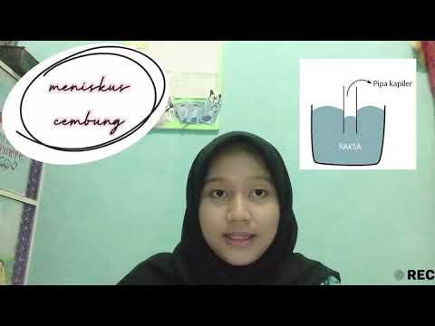 Praktikum Fisika Kapilaritas - Trias Rizky Ananda Putri || XI MIPA 2🌿