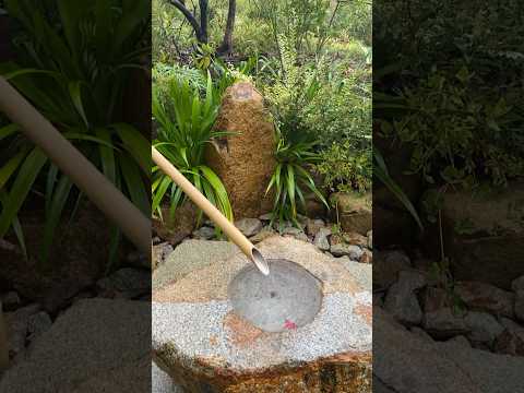 Autumn Japanese garden feature stone basin water sound