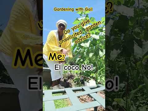 It's your garden grow Do as you wish #elcocono #gardening #dance