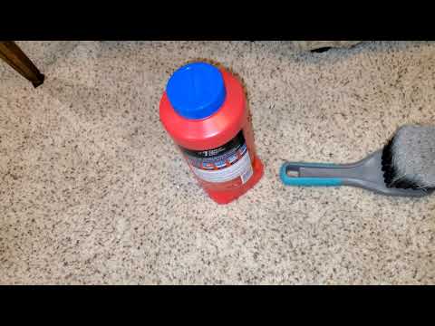 Resolve Pet Carpet Powder, Vs awful vomit stain!