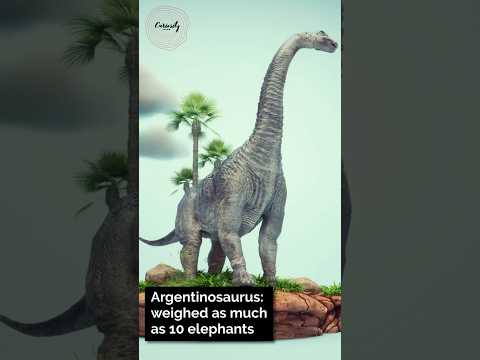 Argentinosauras: weighed as much as 10 elephants