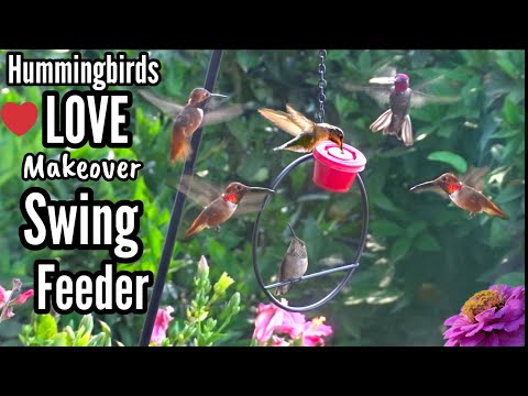 Hummingbirds LOVE New Toy❤️ Hummingbird Swing & Feeder Can STOP Bully Fighting * How to Make Nectar