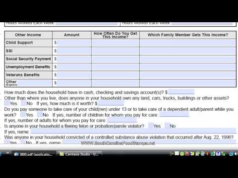 South Carolina Food Stamps