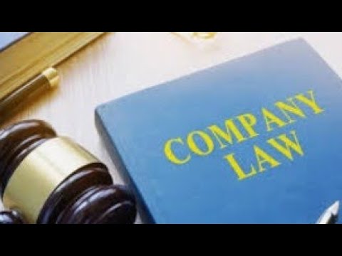 Meaning and Features of Company, Company Law