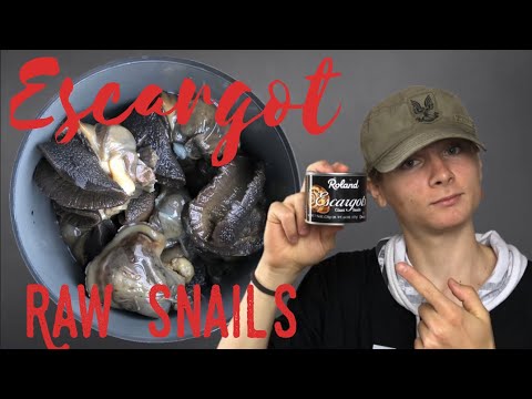 EATING RAW SNAILS? - Escargot, a French delicacy...