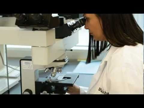 Neeru Gupta - glaucoma research at the Li Ka Shing Knowledge Institute