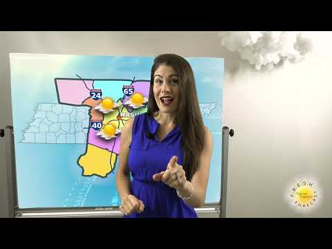 Tennessee Star Newspaper, Nashville TN Local News, Latest Business ...