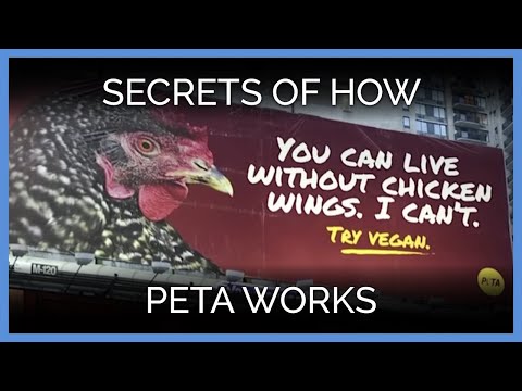 The Eight Secrets of How PETA Works
