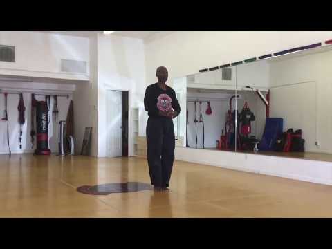 Kosho-Ryu Martial Arts Pinan 1