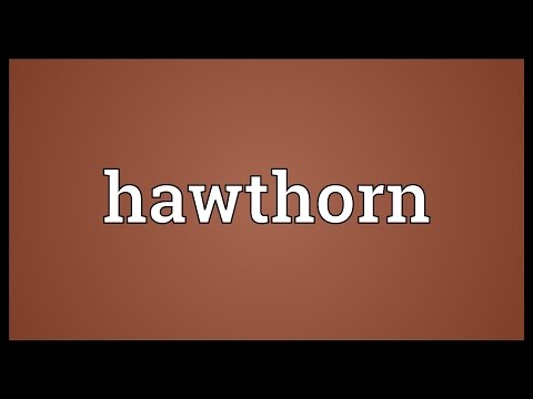 Hawthorn Meaning
