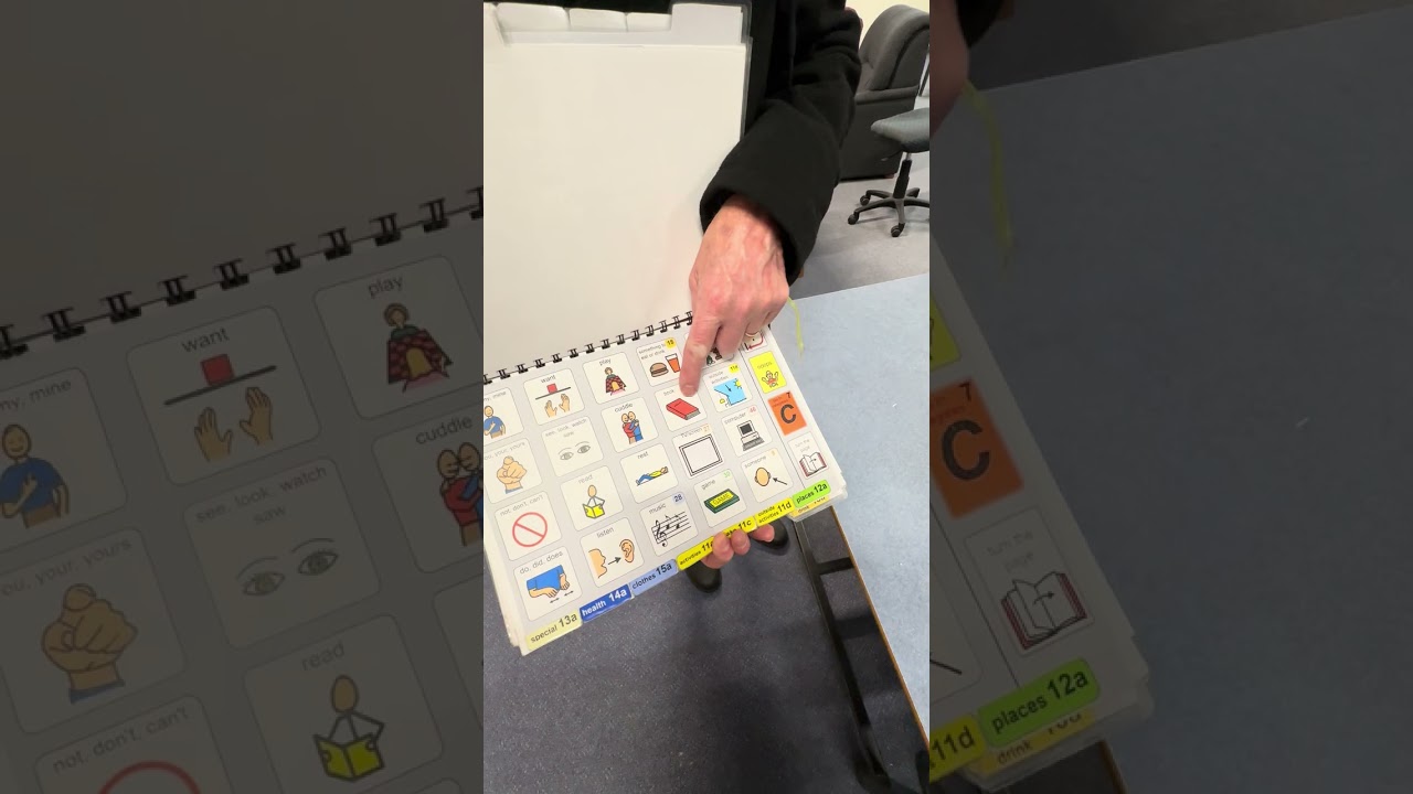 PODD book modeling choose one book (Pragmatic Organisation Dynamic Display)
