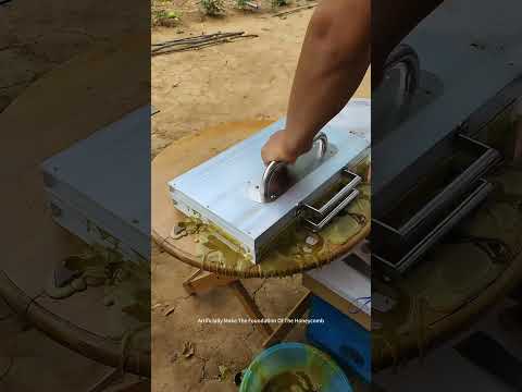 Use Beeswax To Artificially Build The Honeycomb Base Via A Pressing Tool Device !
