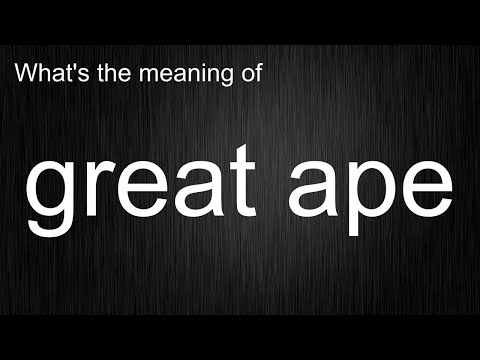 What's the meaning of "great ape", How to pronounce great ape?